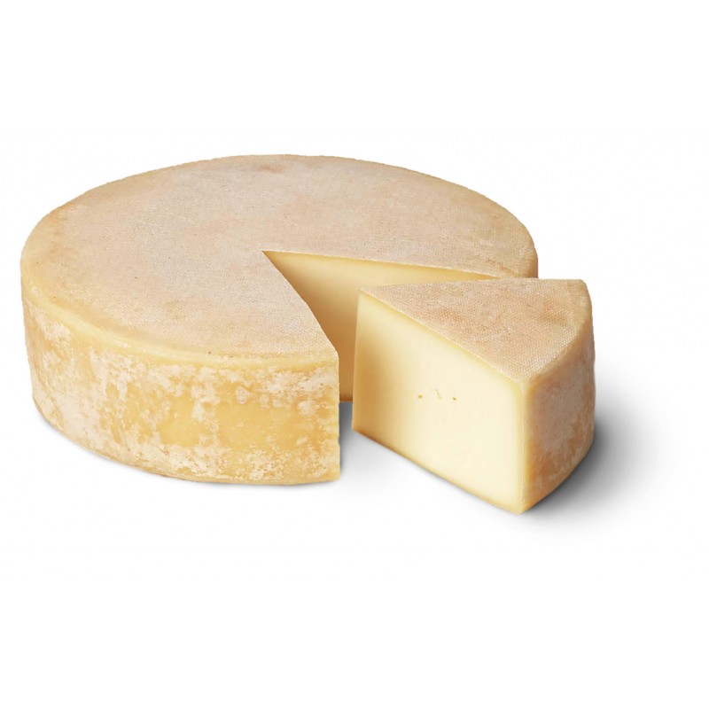 Formaggio “Plottner“ tipo Fontal | Gustos, Alto Adige